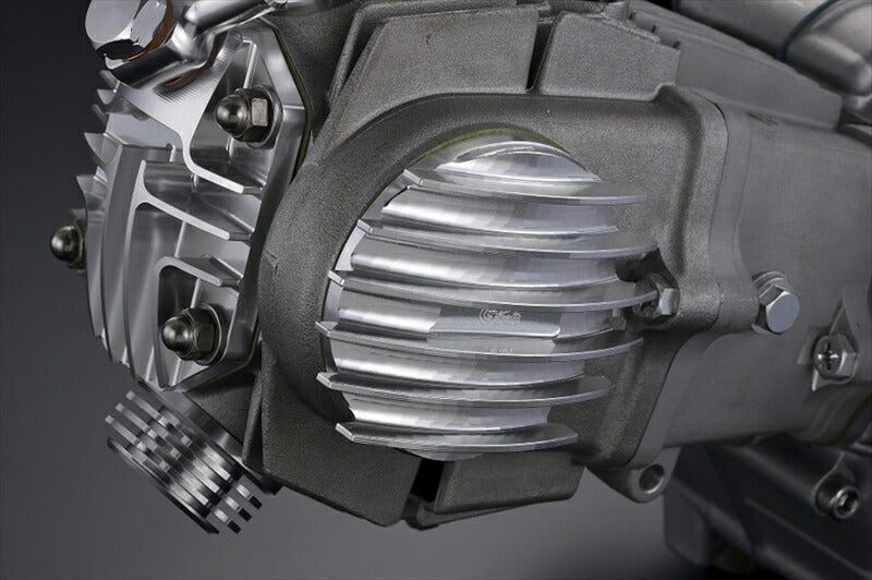 ジークラフト G-クラフト ビッグフィンカムカバー タイプ2 モンキー ゴリラ 33103 4522285331038 取寄品 – はとやオンライン | バイク用品通販「ASTONE ...